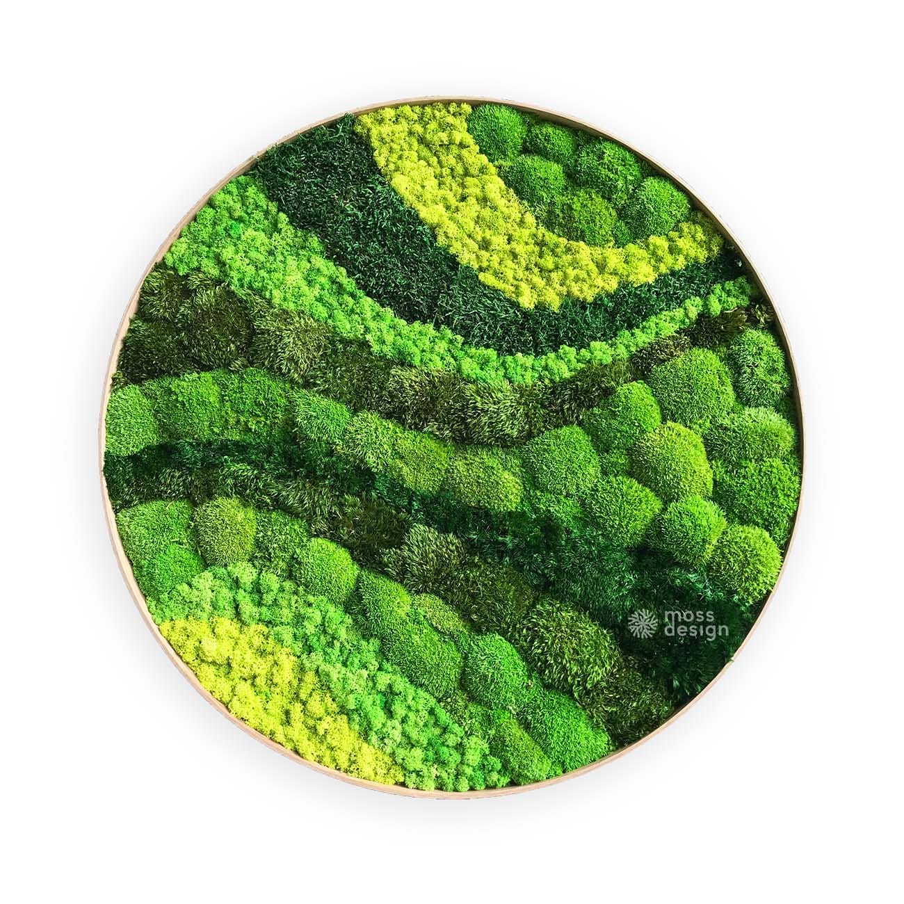 Circular Moss Art FANTASY | Mossdesign